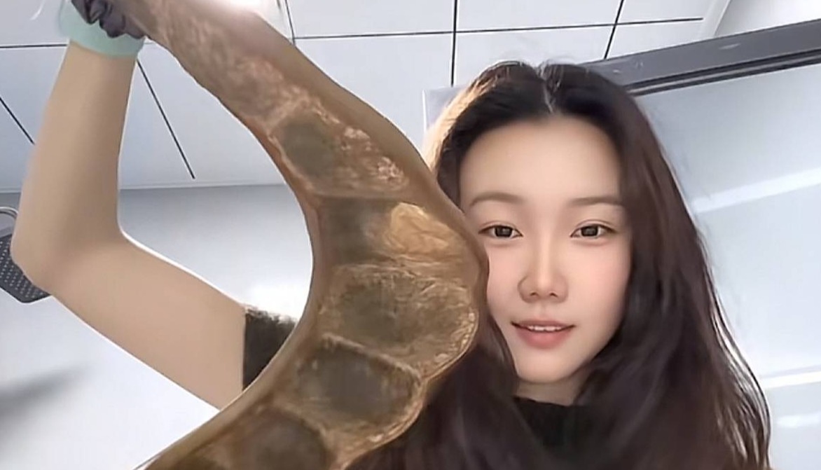 带1米大豆荚坐飞机